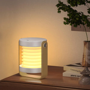 Compact Solar Charging Lamp – Zambeel